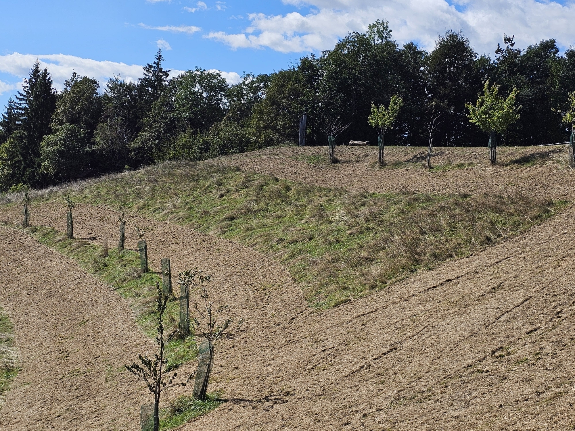 We are concluding the Species-rich Meadows project - Notranjski park - EN